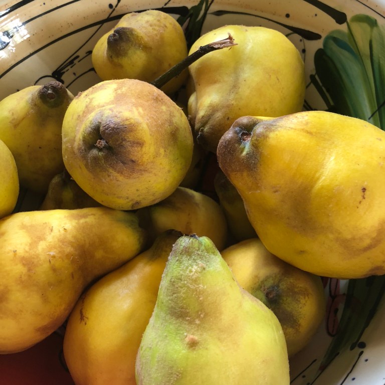 Quince Curd – a qui-luscious treat – The Cottage Loaf